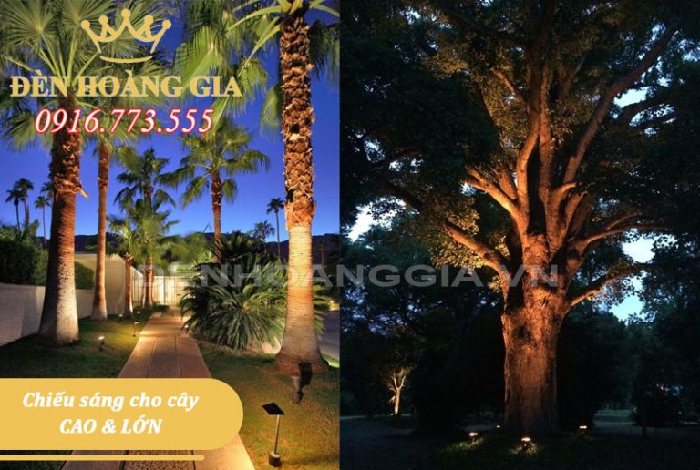 Cây cao, lớn nên lắp đèn chiếu sáng loại nào?